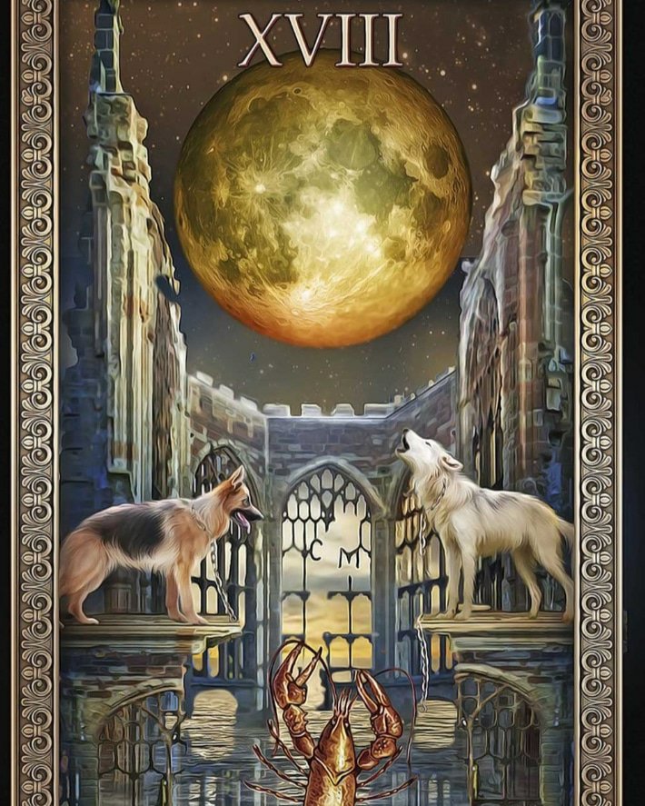 The Full Moon is Distorting Things Right Now – Chloe's Psychic Insights